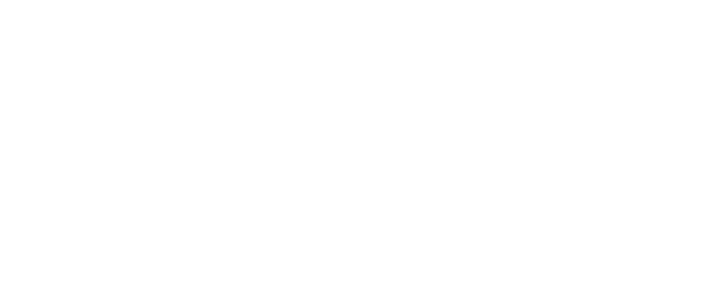 Nieuw: NIS2 dossier - CEO/bestuur verplicht aan het stuur - Samen ...